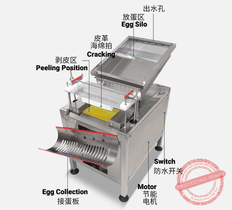 Automatic Boiled Cooked Quail Egg Sheller Machine - Egg Processing ...